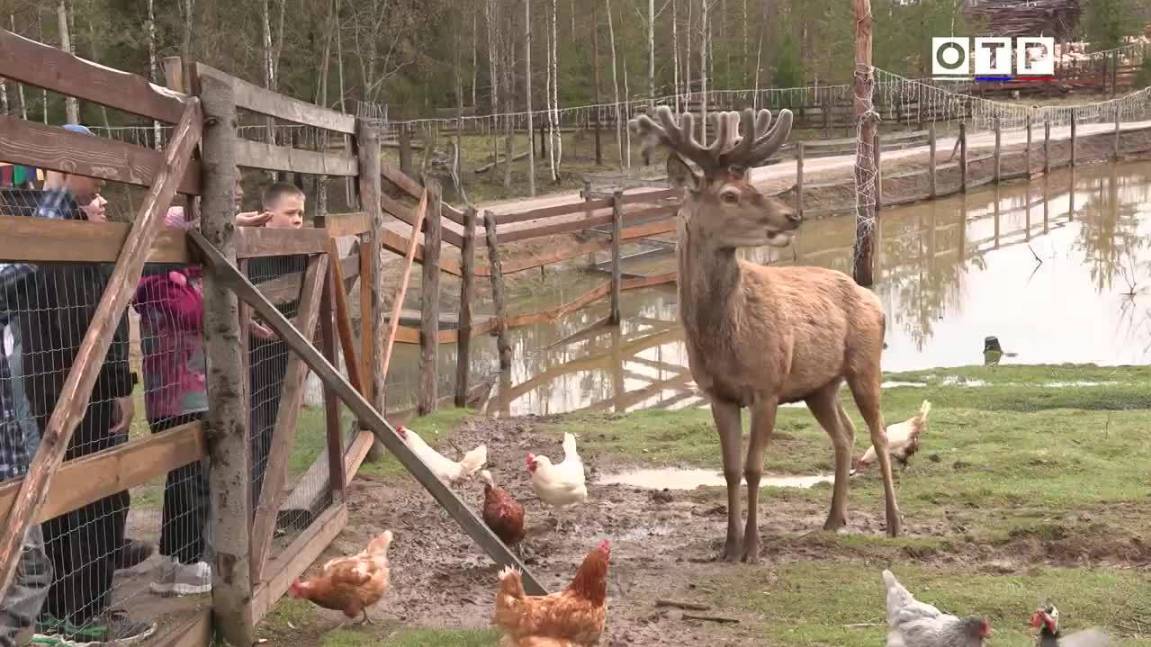 Путешествие сквозь века: От древних звероящеров до культурного наследия