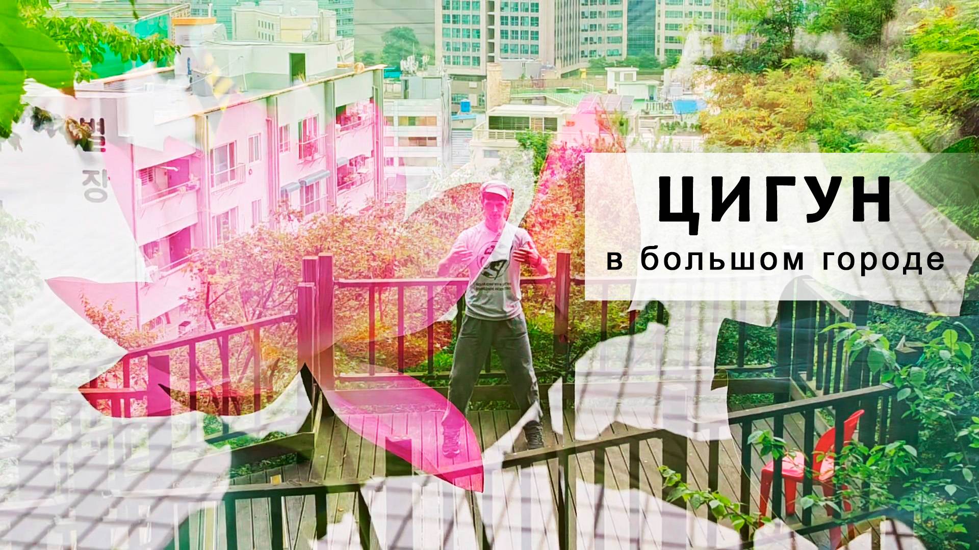 ЦИГУН в большом городе | ЗАПОВЕДНОЕ ИСКУССТВО