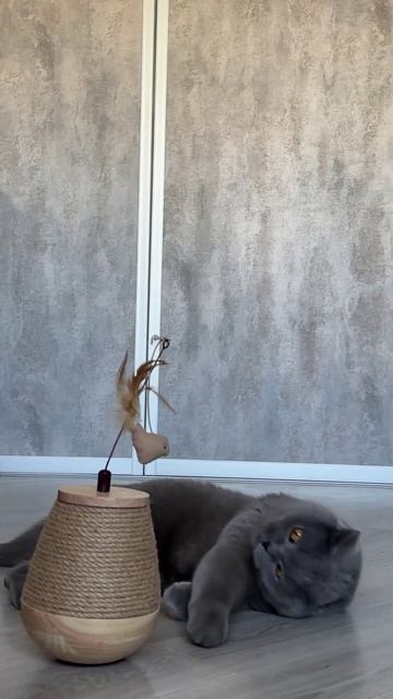 Когтеточка Mr.Kranch