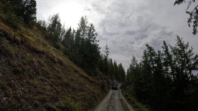 GX010138