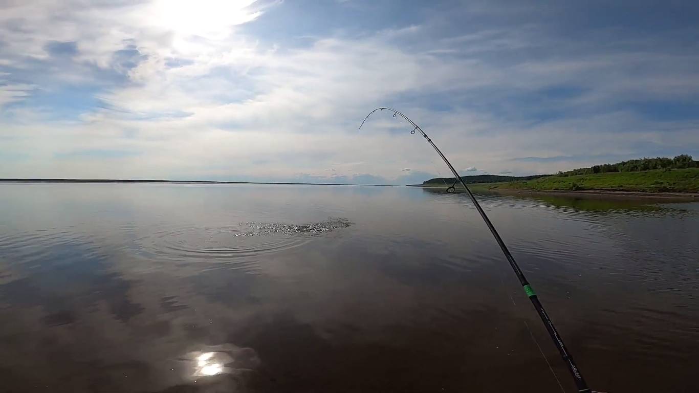 За хищником! Рыбалка на Енисее. Часть 1-я.