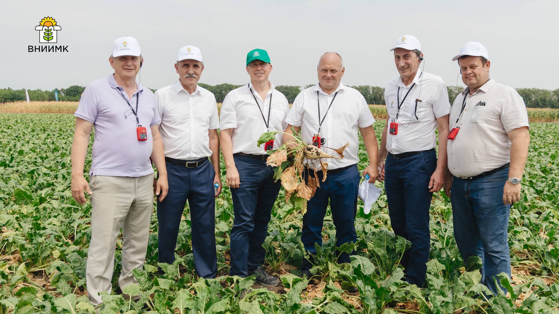 День поля ВНИИМК – навстречу к высоким урожаям!