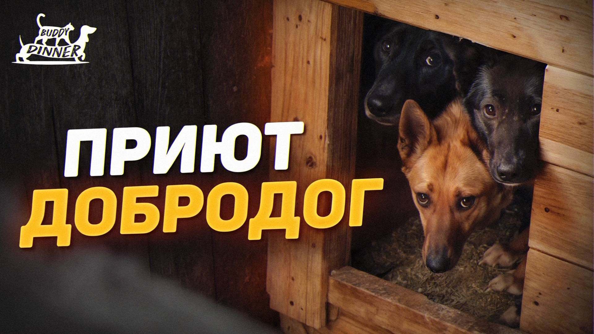 Приют для собак Добродог