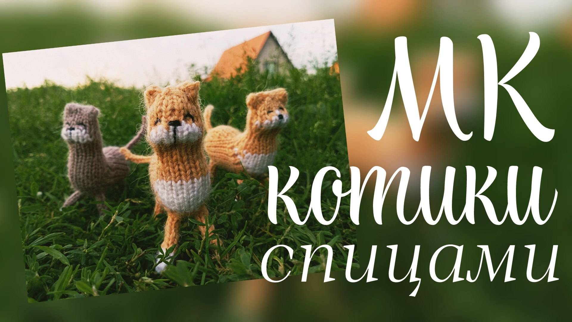 МК: КОТИКИ-МУРМОТИКИ | котик спицами | как связать котика спицами