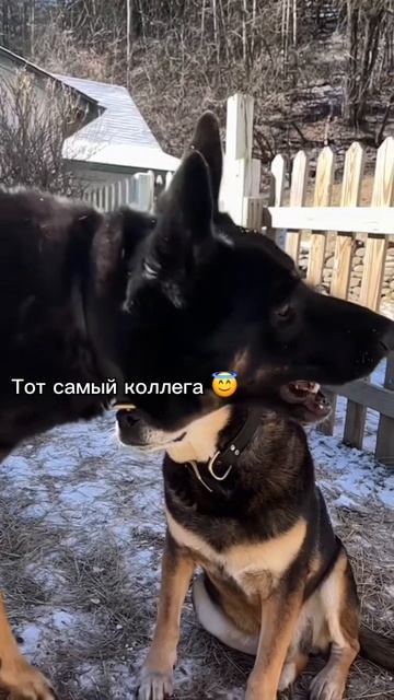 BusinessPad – lite ERP-решения для вашего бизнеса #erp #bpmn #бизнес #юмор