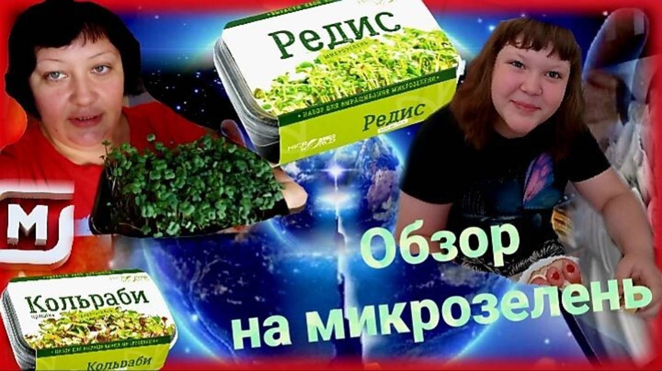 ОБЗОР 🥦🥗 НА МИКРОЗЕЛЕНЬ 💚 из Магнита 🧲