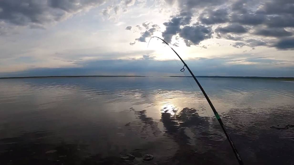 За хищником! Рыбалка на Енисее. Часть 2-я.