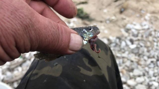 В ожидании поклёвки леща.25.08.25.