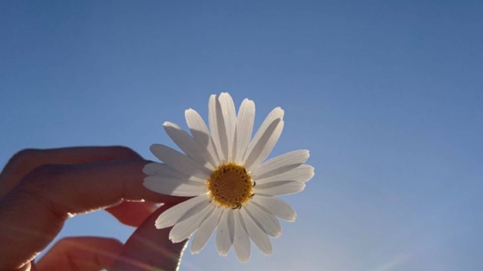 День рождения Леры 1 часть. Ей 9 лет!!