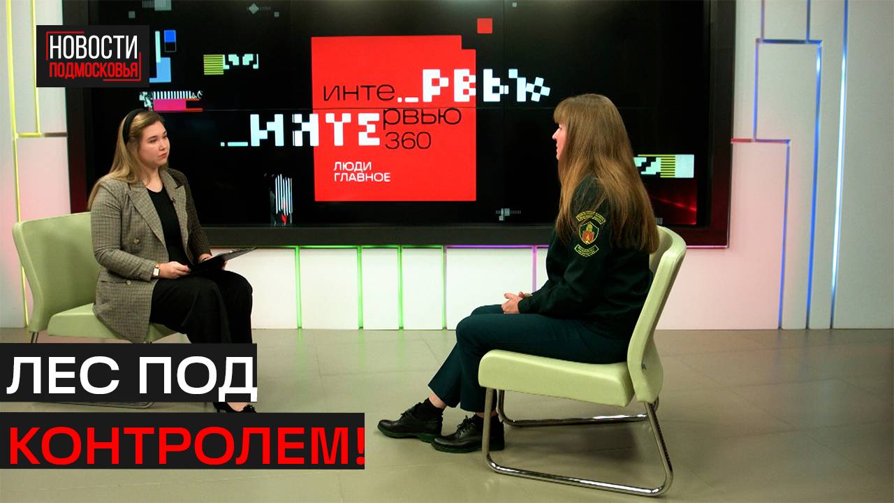 Поговорили о том, насколько сильно пострадал лес в округе во время непогоды