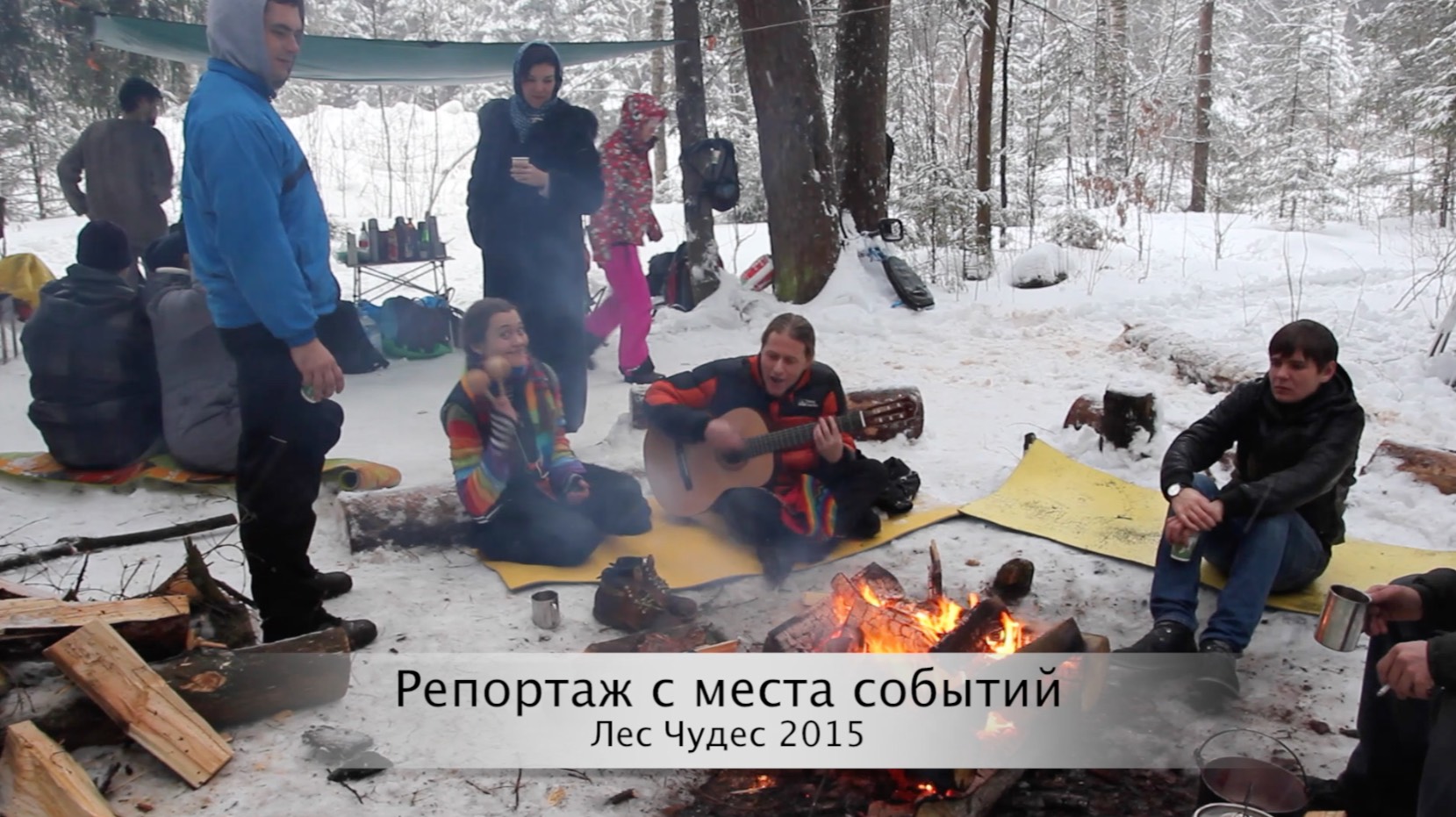 Лес Чудес (2015)