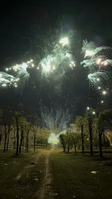 FP-B232 Лунная походка