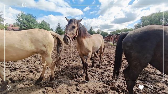 Рабочие будни