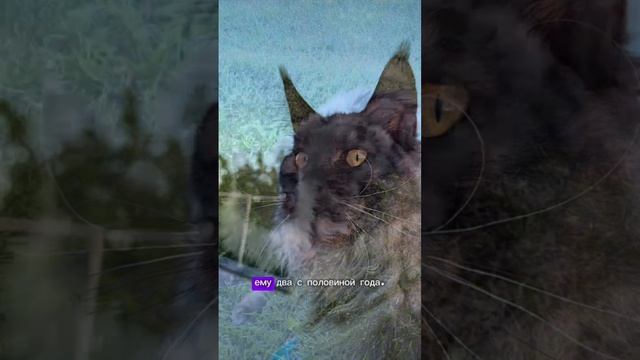 Квантовые откровения