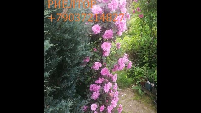 111 Риелтор Москва Игорь +79037214827