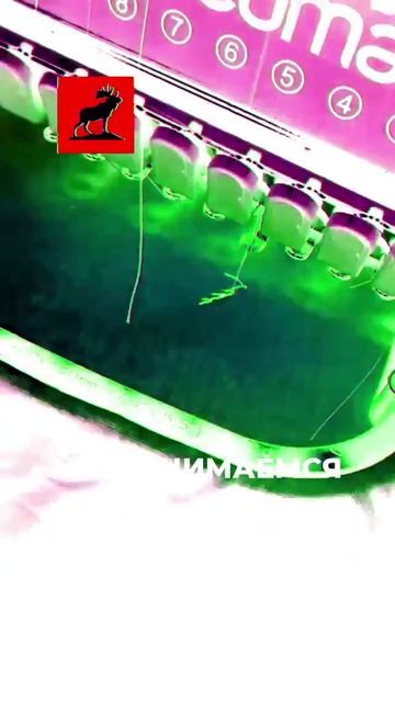 Вышивка и брендирование одежды. Фабрика NashLosь.