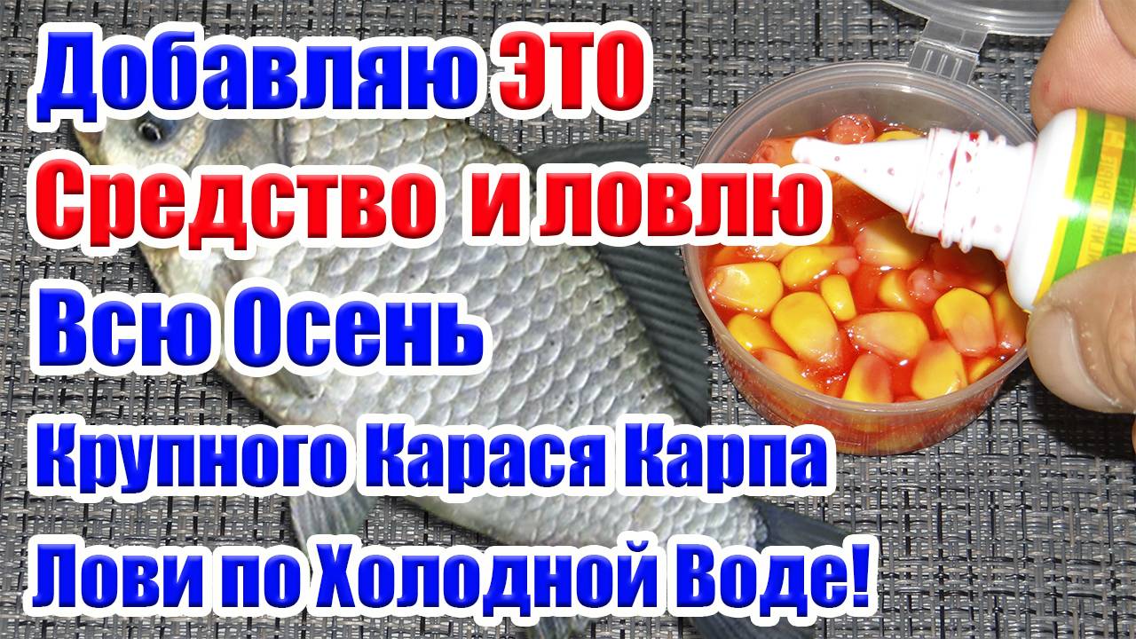 Лови Крупного Карася Карпа Сазана. Рыболовная насадка на карася.