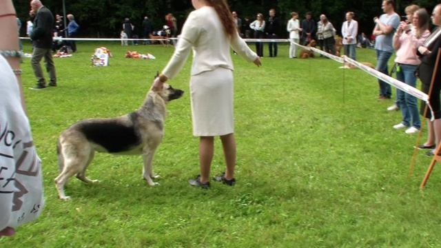 HDV_5773бест1грщедроелето