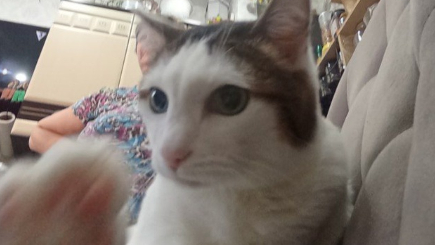 у меня 1 квинтилион в роблоксе