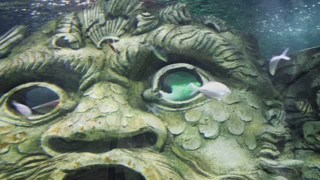 Сиднейский аквариум — одна из главных достопримечательностей Австралии. SEA LIFE Sydney Aquarium.