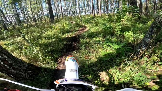 Лесная Анархия_Талица_23-08-2025_1 этап