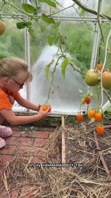 Как оно бывает 😄