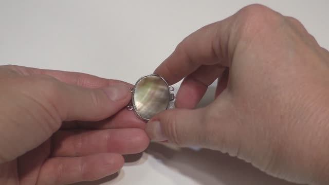 Застежка-защелка