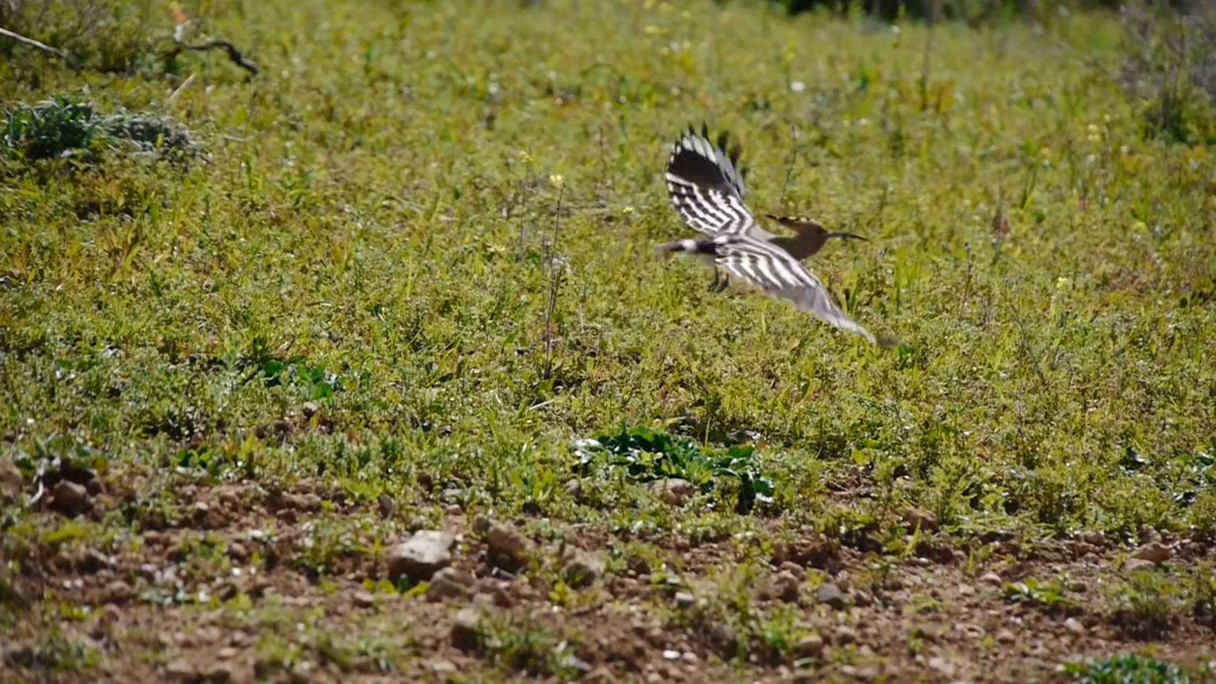 Медный Остров - Карпаз 24-03. CopperIsland-Karpaz-24-03