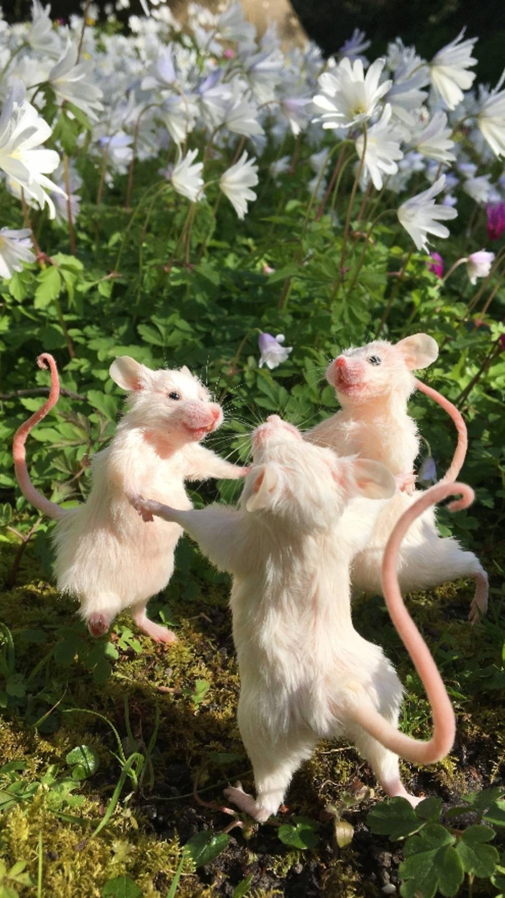 Злобного крыса они вызывают а про меня ЗАБЫЛИ?!?