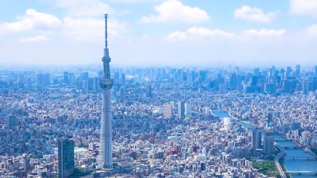 KidsBox_Level2_Unit8_CLIL_video