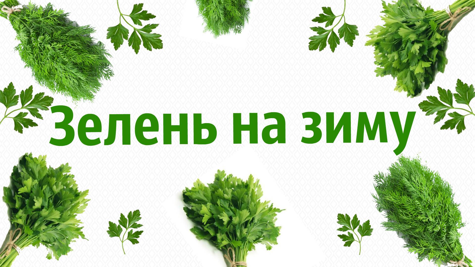 Как Сохранить Свежую ЗЕЛЕНЬ на зиму, быстрый и простой способ сохранить петрушку, укроп...