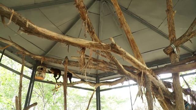 Итоги недели 22 августа 2025 г