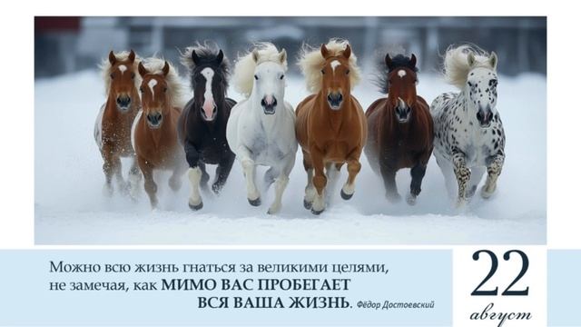 Великие цели и маленькие радости. #22.08