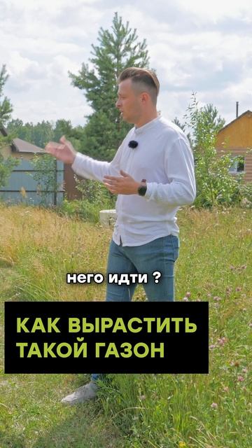 Газон без хлопот существует на самом деле?