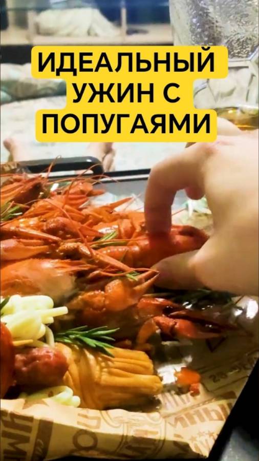 Ужин с размахом: раки, пиво и попугаи! 🦐🍺🦜