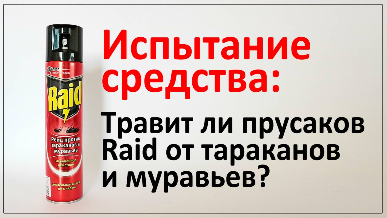 Рейд против тараканов и муравьев убил тараканов за 8 минут!
