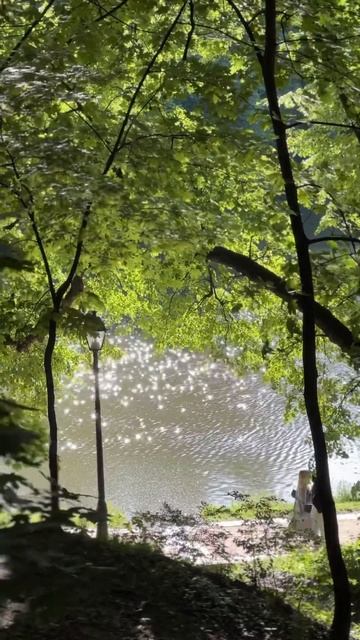 Царицыно-парк (2023)