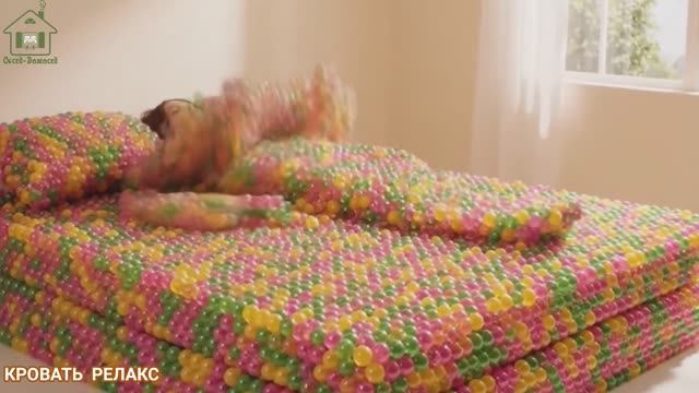 Кровать видео релакс для души и радости 🥪 вариант (3)