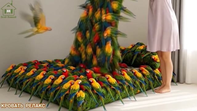 Кровать видео релакс для души и радости 🥪 вариант (1)