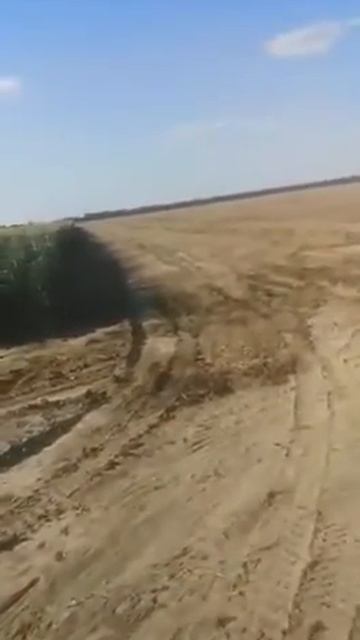 Насос SAER NCB100 250A - отзыв о работе в системе полива