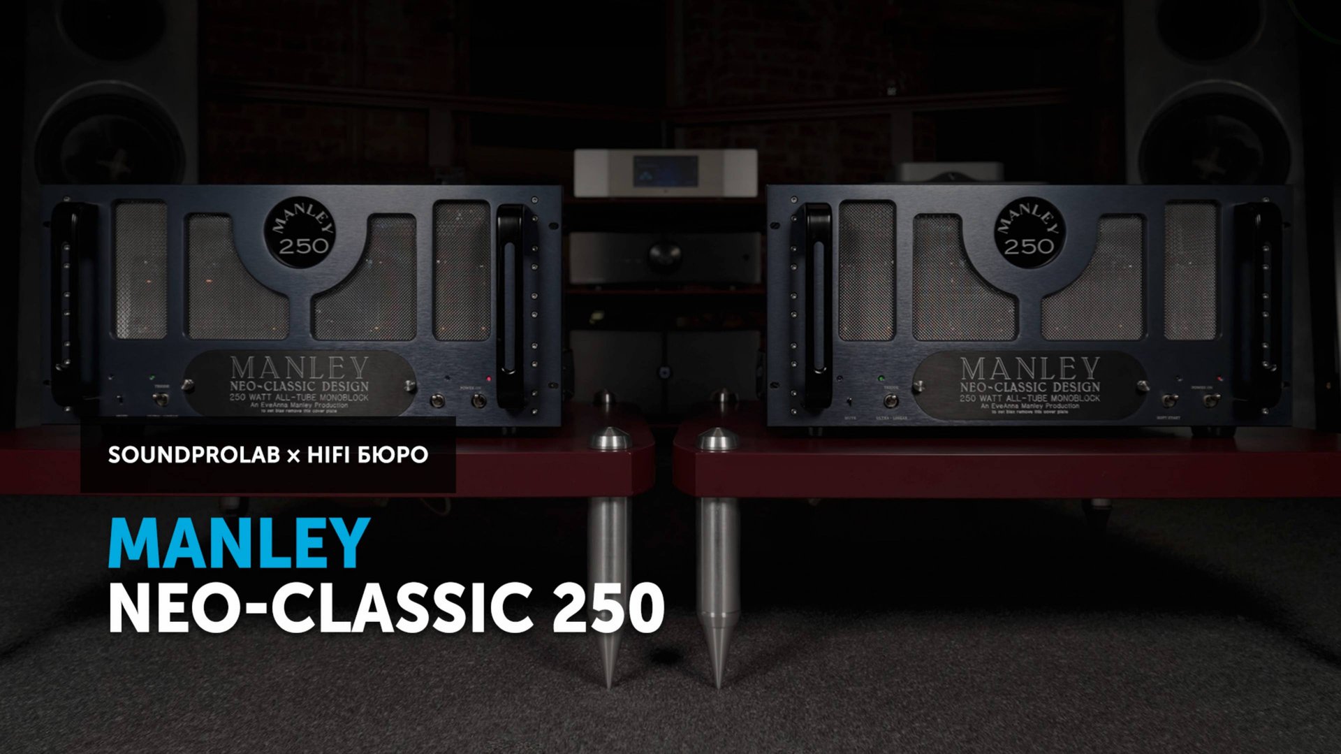 Моноблоки Manley Neo-Classic 250 — эталонная мощь