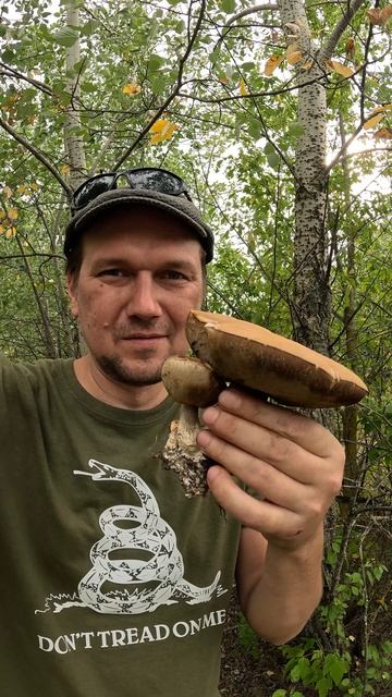 ОТец нашёл подосиновик