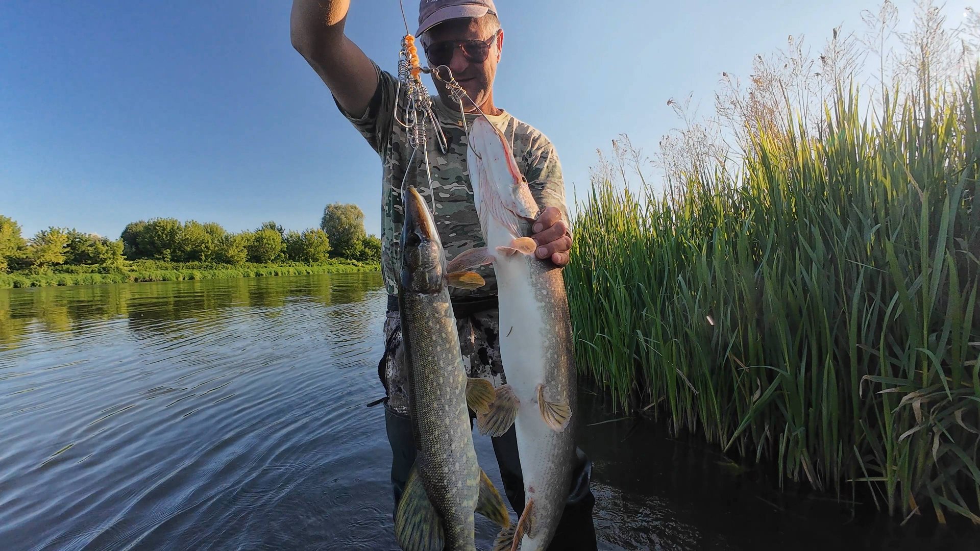 Трофейная щука у отца. Рыбалка с ночёвкой.