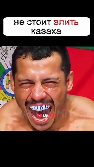 Дерзкий бык получил по рогам👏👏👏