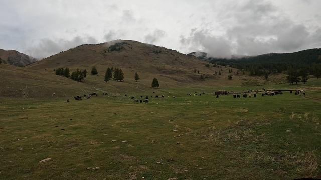 GX010144