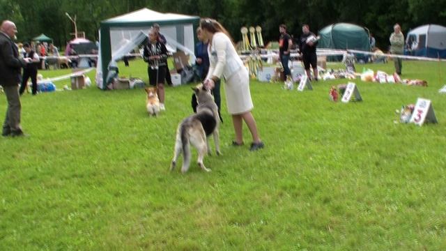 HDV_5774бест1гггрщедроелето