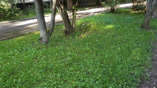 Москва 13 08-20 08 2025г