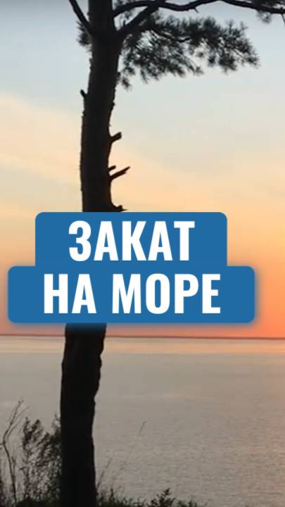 ☀️ Золотой час на берегу моря в Сибири: волшебство природы ✨ #Сибирь #Природа #ЗолотойЧас