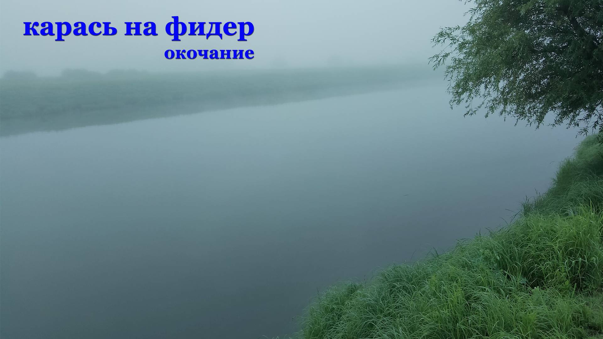 Только стоило отойти, закинув... Карась на фидер. Окончание