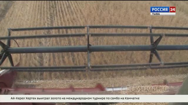 Кормозаготовка в разгаре